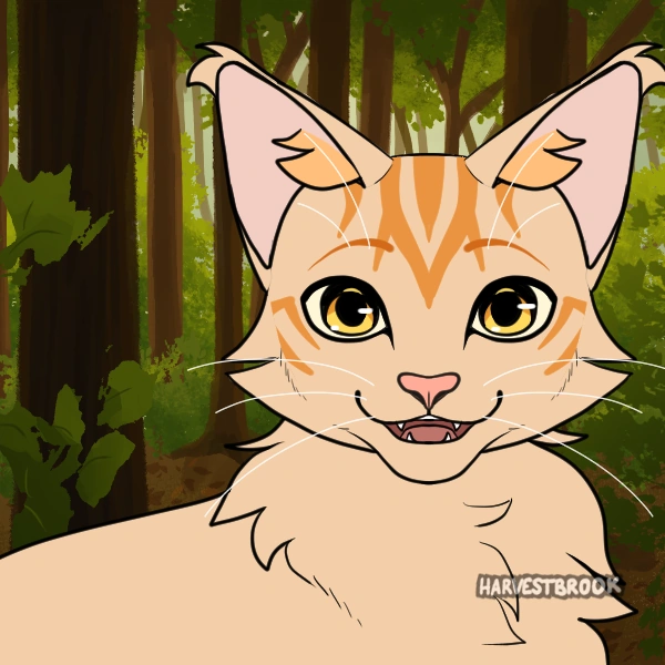 Clan de l'Echo/Eclat du Soleil | Wiki RPG vos Clans | Fandom