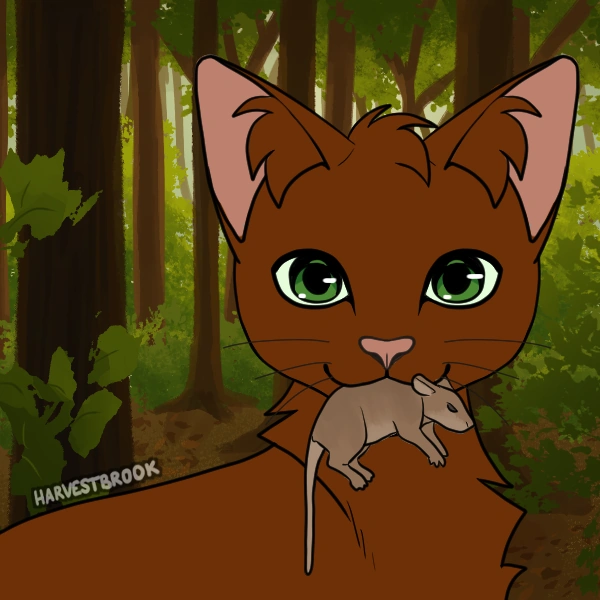 Clan de Minuit/Erable | Wiki RPG vos Clans | Fandom