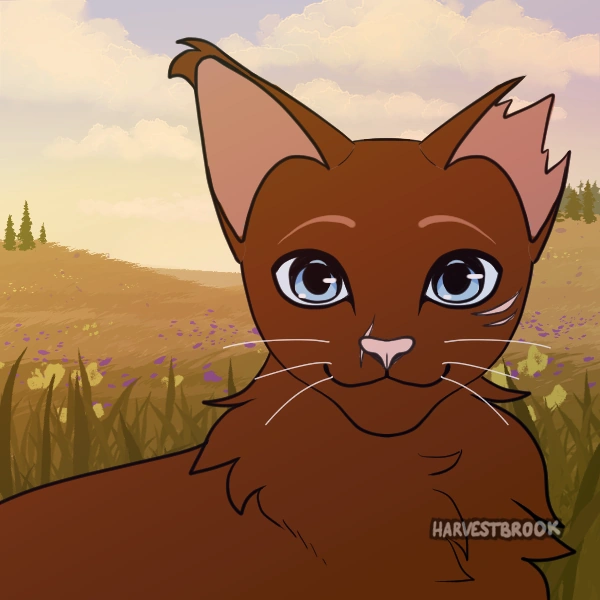 Clan de la Colline/Etoile Vive | Wiki RPG vos Clans | Fandom