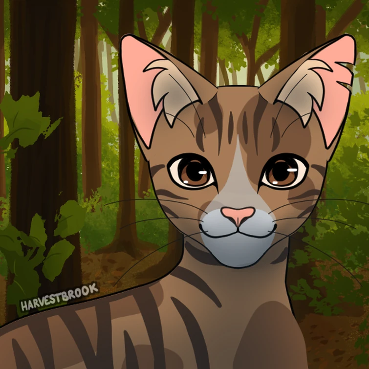 Clan des Noisetiers/Patte de Trèfle | Wiki RPG vos Clans | Fandom