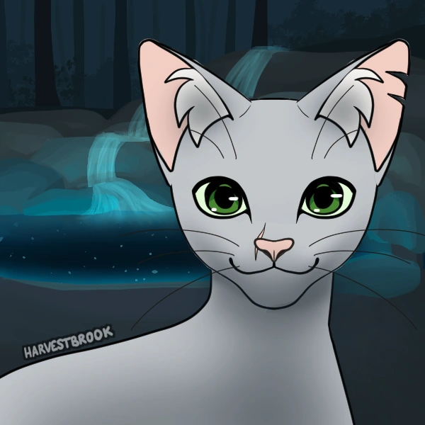 Clan de Minuit/Neige | Wiki RPG vos Clans | Fandom