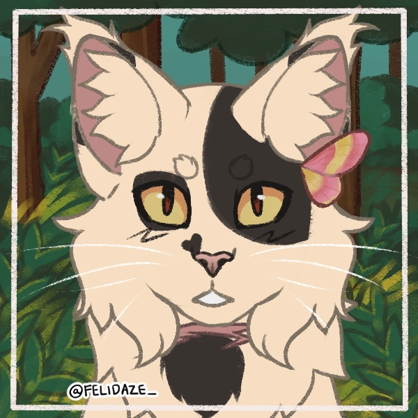 Clan de l'Eclipse/Brise Matinale | Wiki RPG vos Clans | Fandom