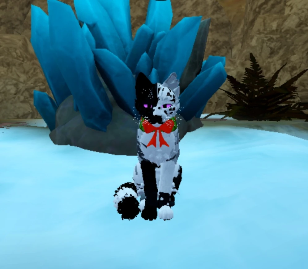 Clan des Violettes/Lune Noire | Wiki RPG vos Clans | Fandom