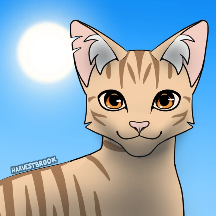 Clan du Désert/Etoile du Sable | Wiki RPG vos Clans | Fandom