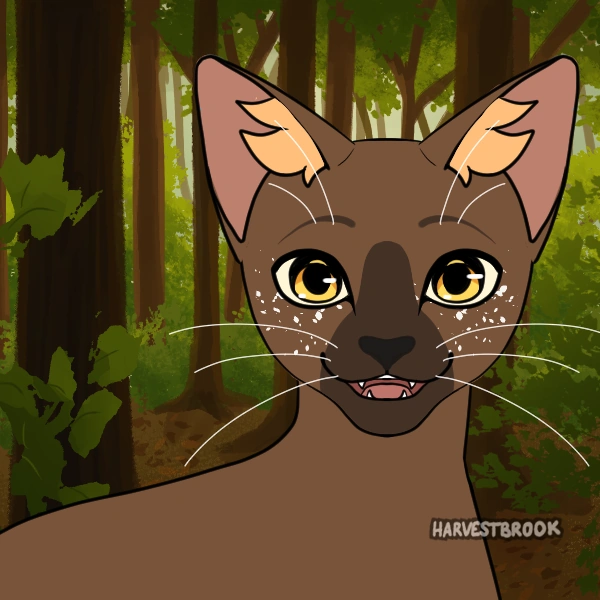 Clan du Désert/Aile de Datte | Wiki RPG vos Clans | Fandom