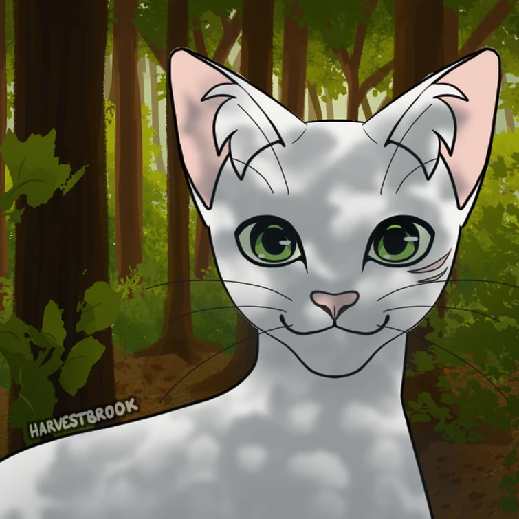 Clan de l'Aurore/Aile de Neige | Wiki RPG vos Clans | Fandom