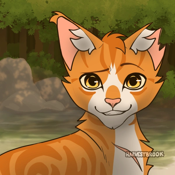 Clan des Violettes/Moignon de Queue | Wiki RPG vos Clans | Fandom