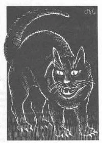 Адская кошка | RPG | Fandom