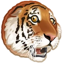 Main Page | Wikia RPG700 | Fandom