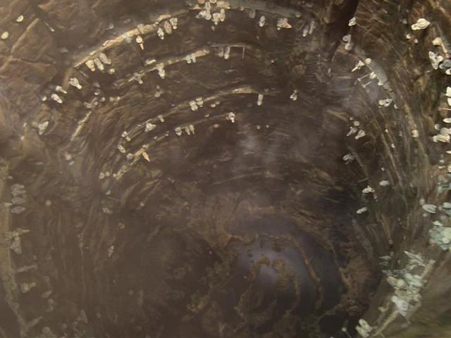 Battle of Utapau | RPG-Generation | Fandom