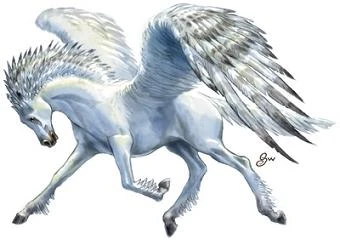 Pegasus | RPG Museum | Fandom