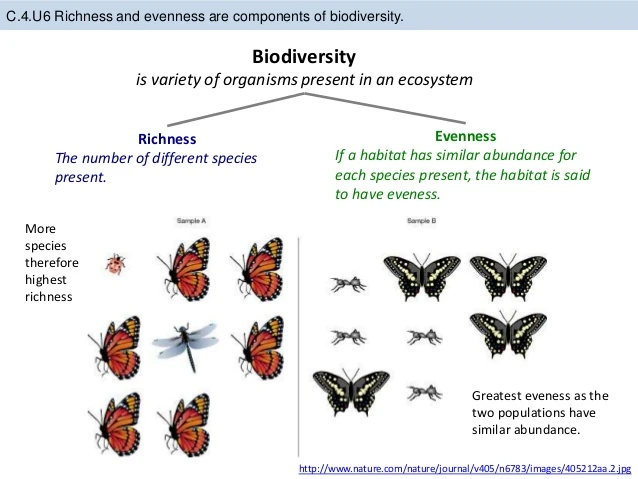 AcDec 2015-16 Science | RPHS_AcDec Wikia | Fandom