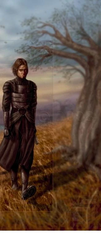 Jacubus Adrianus Sienar | Star Wars RolePlay Wiki | Fandom