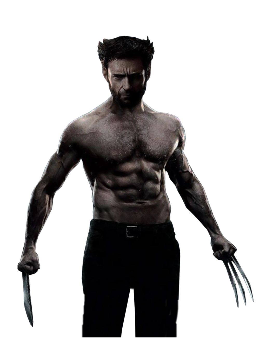 Wolverine | RPworld123 Wiki | Fandom