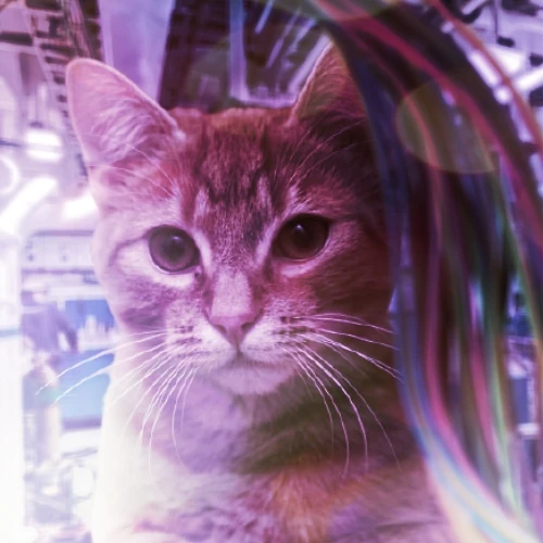 Category:Animals | Doctor Who Fan Series Wiki | Fandom