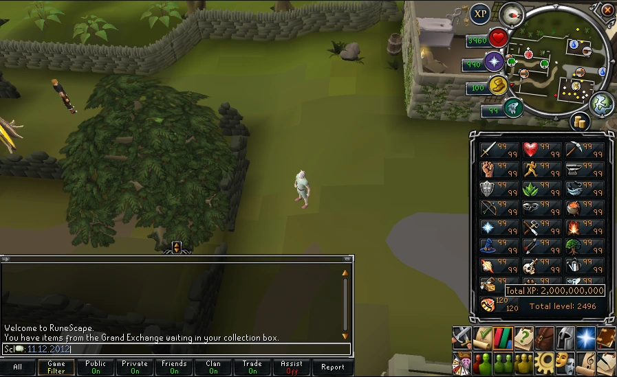 Scl | RuneScape Players Wiki | Fandom