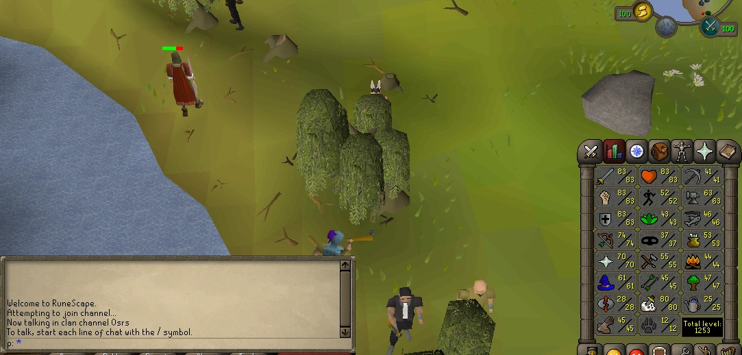 P | RuneScape Players Wiki | Fandom