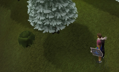King Jaxie | RuneScape Players Wiki | Fandom