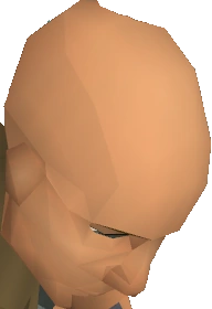 High Priests of Icthlarin | RuneScape Realistic Wikia | Fandom