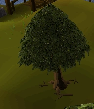 Tree | RS-Reborn Wiki | Fandom