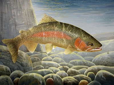 Henrik the Trout | RuneScape Roleplay Wiki | Fandom