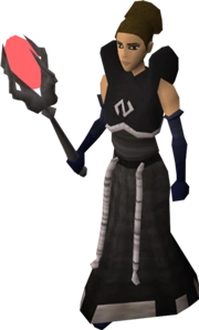 Void Knights | RuneScape Roleplay Wiki | Fandom