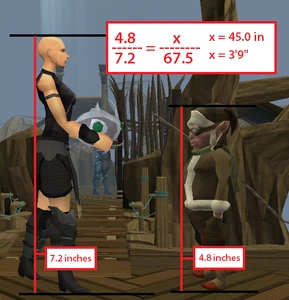 User blog:SsVivid/Height Reference Chart | RuneScape Roleplay Wiki | Fandom