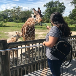 Ali | RSurvivor Wiki | Fandom