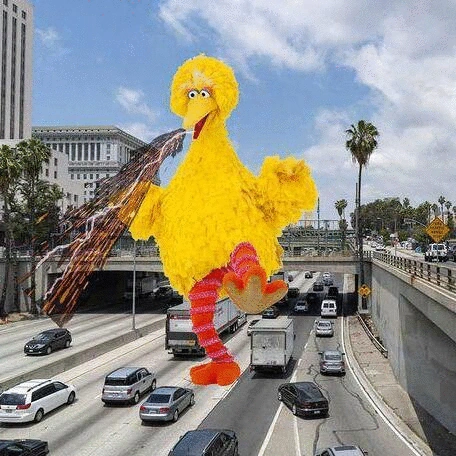 Sam P. | RSurvivor Wiki | Fandom