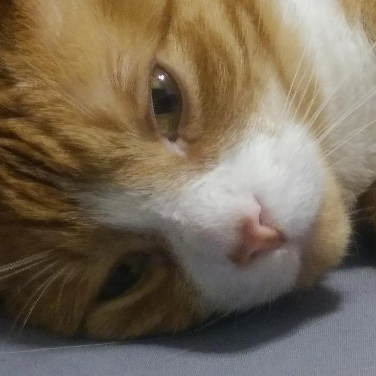 Jordan O. | RSurvivor Wiki | Fandom