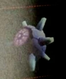 Ayden | R-Type Wiki | Fandom