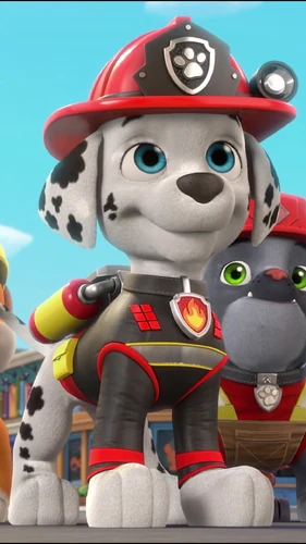 Marshall | Rubble & Crew Wiki | Fandom