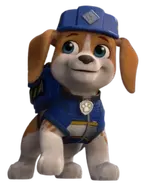 Wheeler | Rubble & Crew Wiki | Fandom