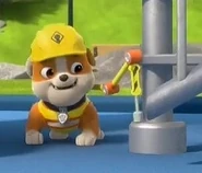 Rubble | Rubble & Crew Wiki | Fandom