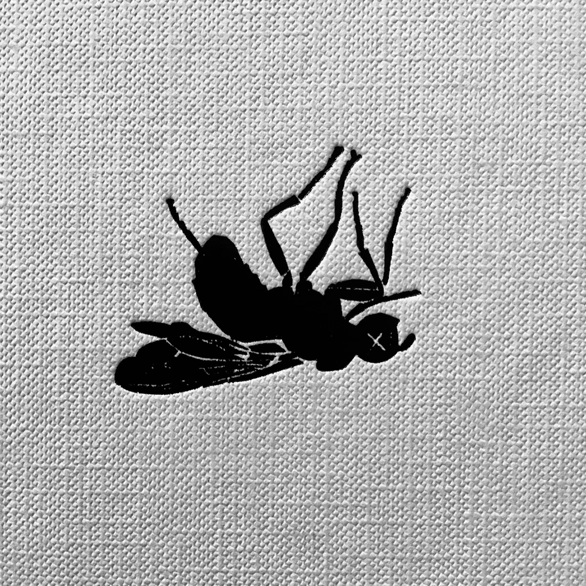 Flies | Ruby Redfort Wiki | Fandom