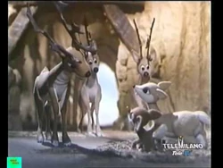 Mrs. Donner | Rudolph The Red Nosed Reindeer Wiki | Fandom