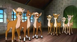 Schoolroom Doe 2 | Rudolph The Red Nosed Reindeer Wiki | Fandom