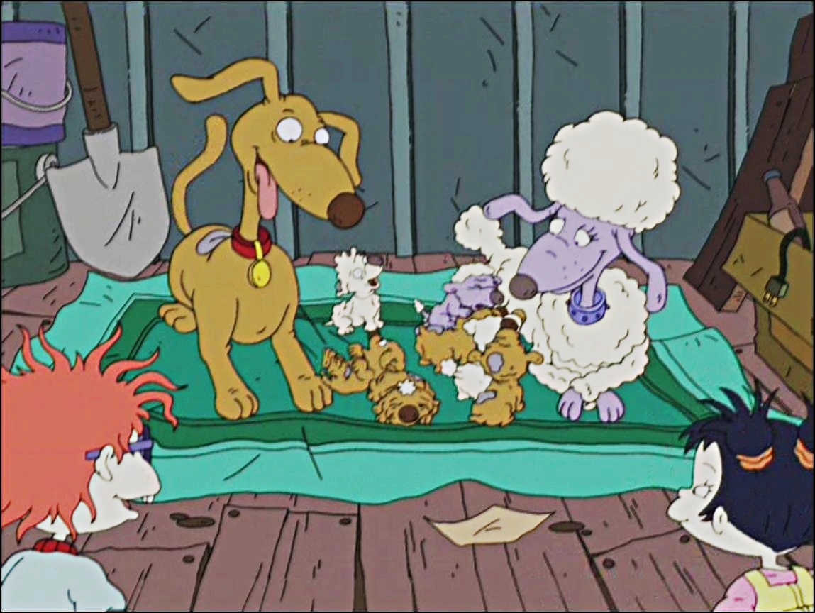 Fifi/Gallery | Rugrats Wiki | Fandom