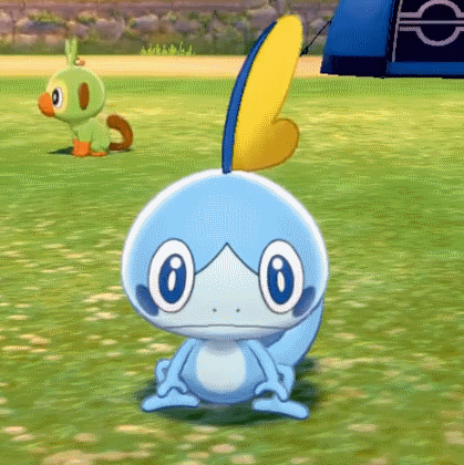 Charmy | Rukatu's Pokemon Camp Wiki | Fandom