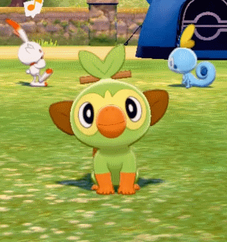 Abu | Rukatu's Pokemon Camp Wiki | Fandom