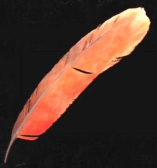 Red Feather | Rule of Rose Wiki | Fandom