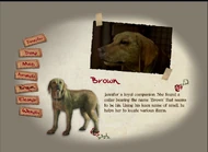 Rule of Rose Official Website | Rule of Rose Wiki | Fandom
