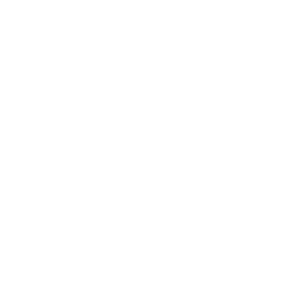 Striker | Rune Slayer Wiki | Fandom