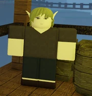 Pets | Rune Slayer Wiki | Fandom