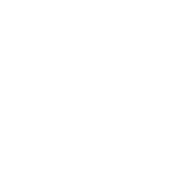 Thief | Rune Slayer Wiki | Fandom