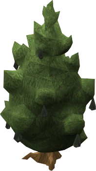 Avocado tree seedling | RuneScape Wiki | Fandom
