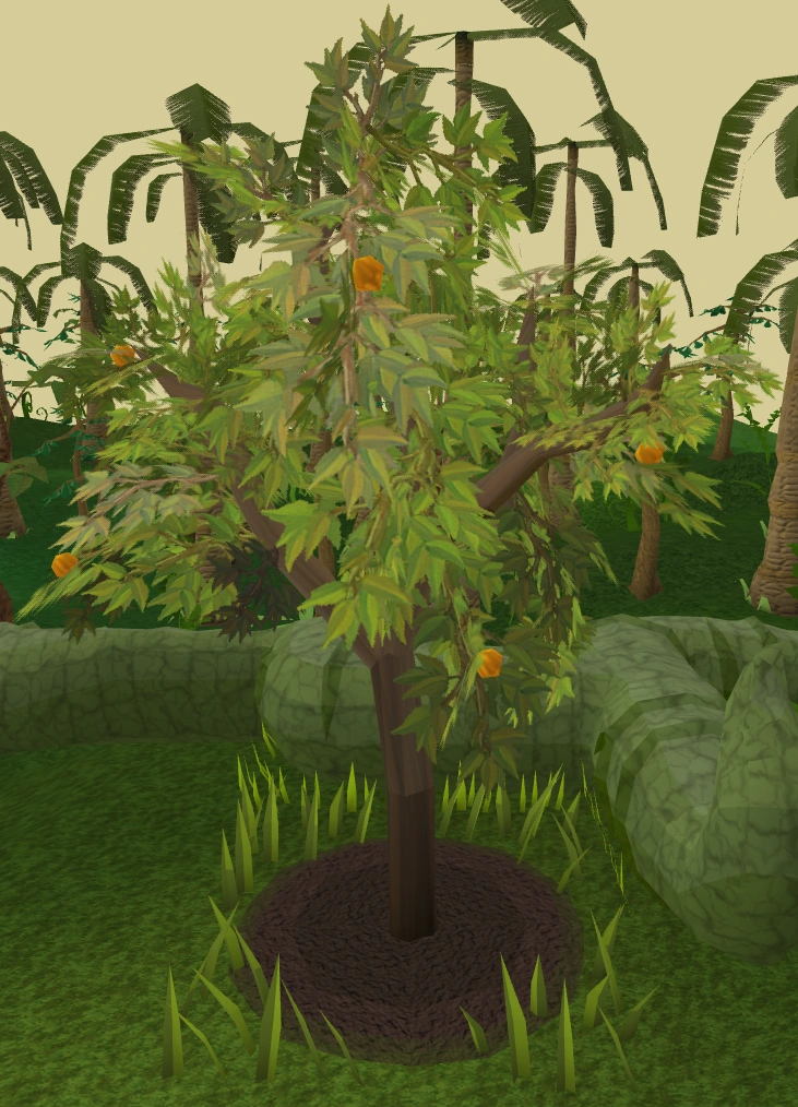 Orange tree | RuneScape Wiki | Fandom