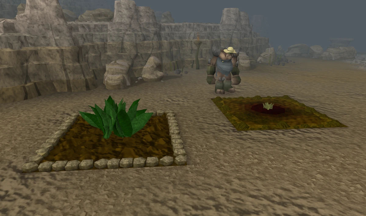 Trollheim herb patch | RuneScape Wiki | Fandom
