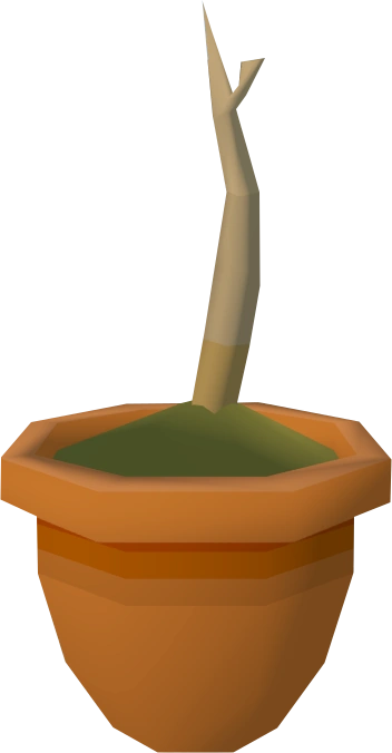 Yew sapling | RuneScape Wiki | Fandom