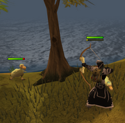 Strategies for Chompy bird | RuneScape Wiki | Fandom